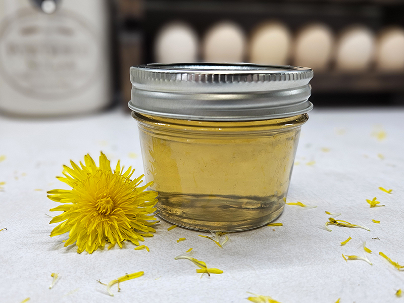 How To Make Homemade Dandelion Jelly - Tastes Just Like Honey!