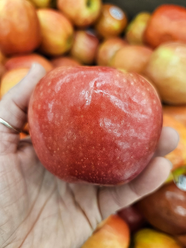 The 8 Best Apple Varieties To Purchase At Grocery Stores