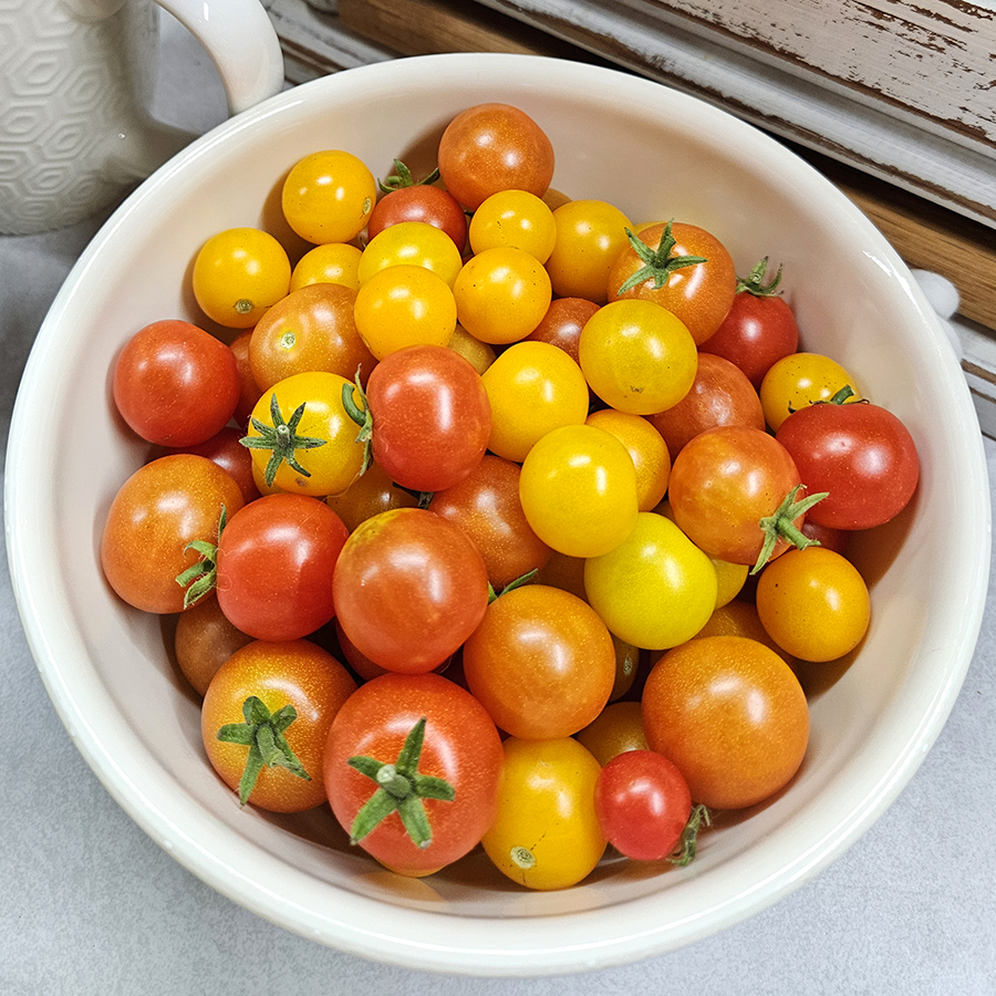 Cherry Tomato Recipes & Preserving Tips - 6 Different Ways