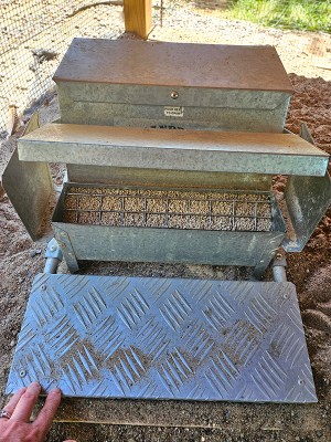 4 Must-Have Products For Raising Chickens For Busy Families