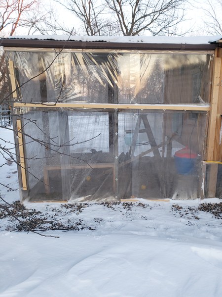 Preparing Chickens For Winter - Winterize Your Coop & Flock