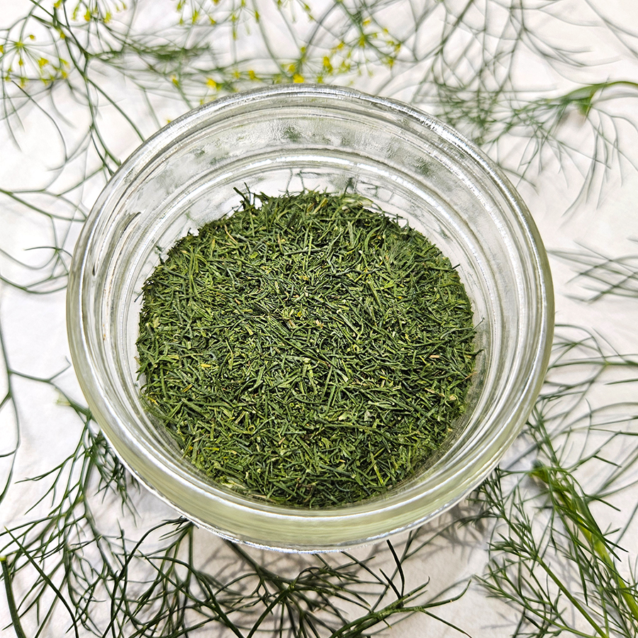 Dehydrating Dill Weed - 4 Steps To Making Dried Dill Weed
