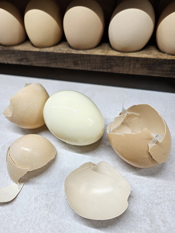 How To Save And Use Eggshells In Your Garden