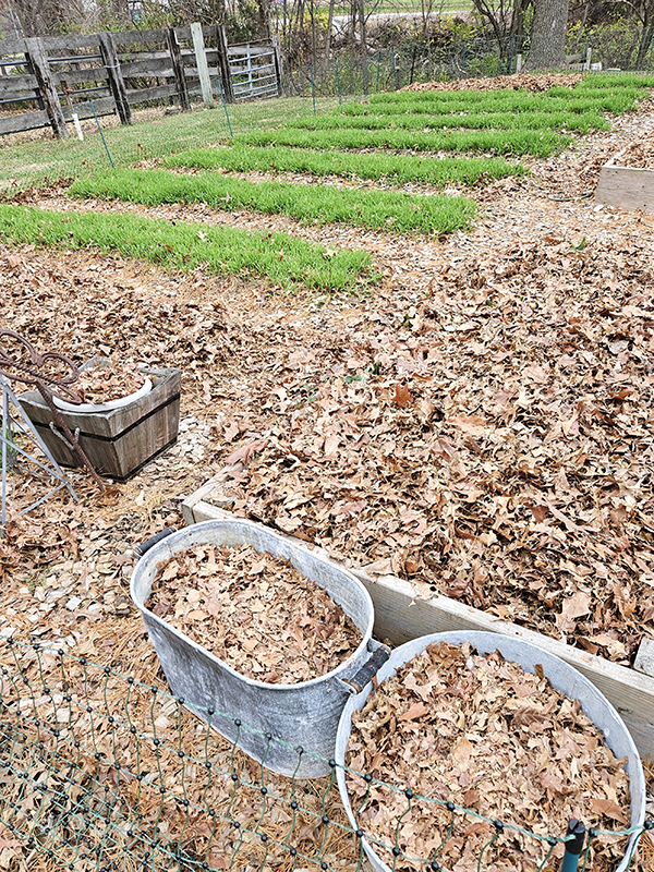 Growing Rows In Spring - What To Do Before Planting The Garden