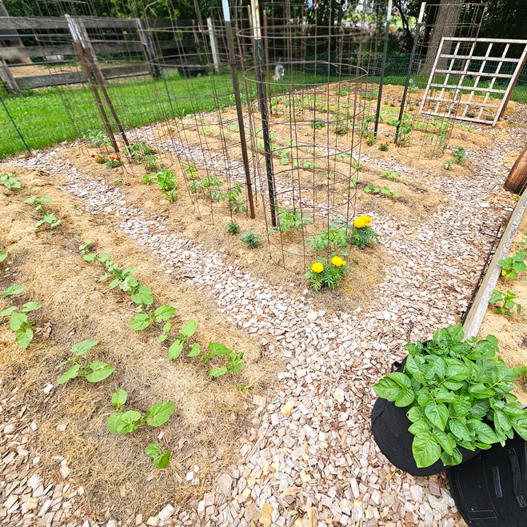 Growing Rows In Spring - What To Do Before Planting The Garden