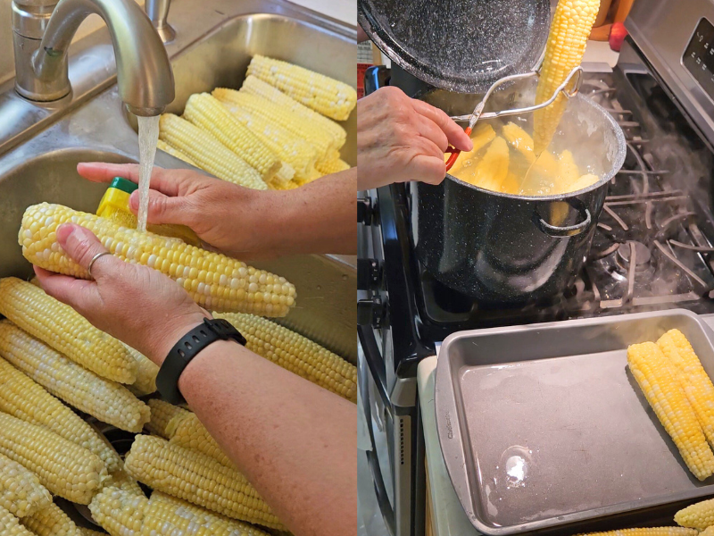 Harvesting & Preserving Sweet Corn - Freeze Now To Enjoy Later!