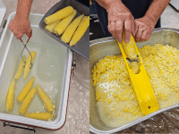 Harvesting & Preserving Sweet Corn - Freeze Now To Enjoy Later!