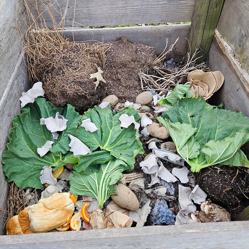 Materials To Compost - Create The Best Compost For Your Garden