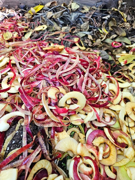 Materials To Compost - Create The Best Compost For Your Garden