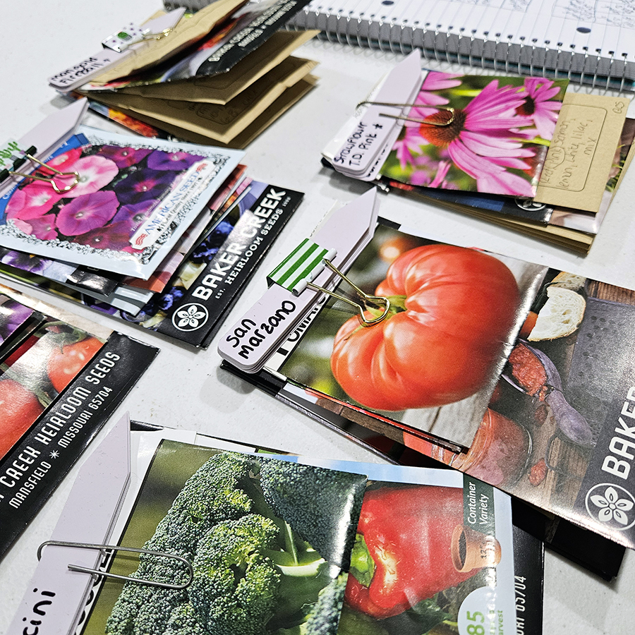 Buying Garden Seeds Online - 8 Tips For Purchasing Seeds Online