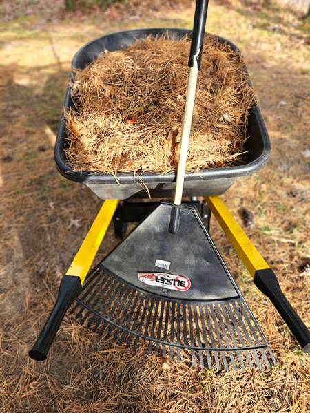 Pine Needles In The Garden - Why & How To Use Them In Winter