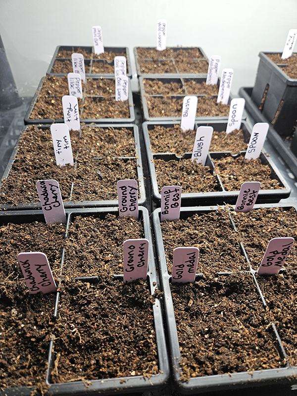 Seed Starting Supplies - 5 Things You Need To Start Seeds Indoors
