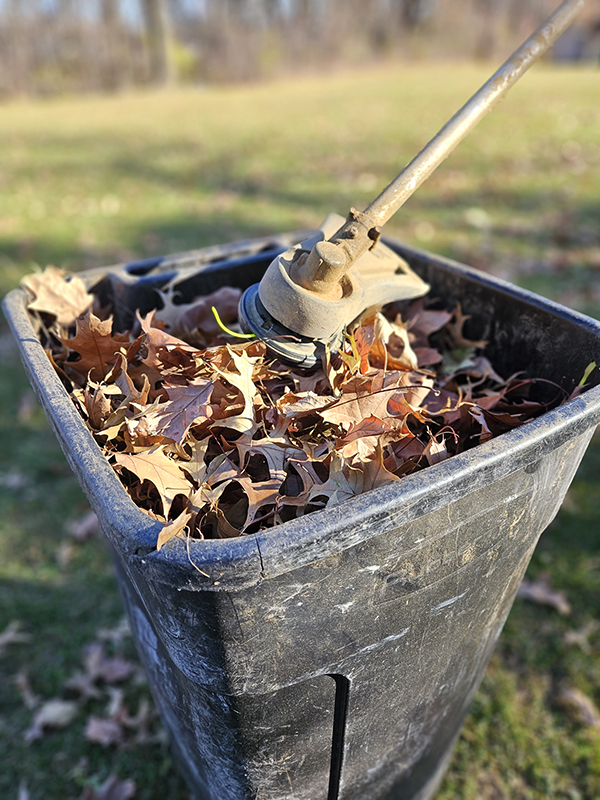 3 Ways To Use Fall Leaves - Power & Protect Your Garden & More!