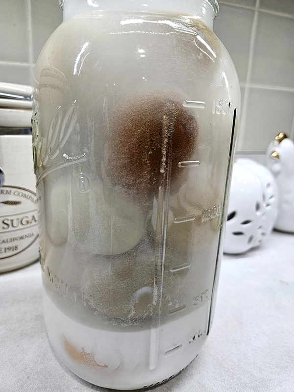 How To Water Glass Eggs - An Old Fashioned Way To Store Eggs